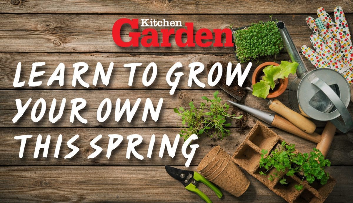 Learn how to grow your own food with help from Kitchen Garden magazine ...
